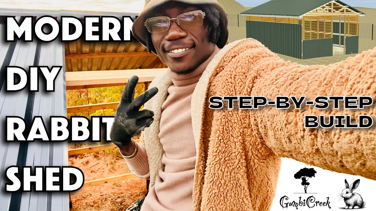 Building My DIY Rabbit Shed [A Time-lapse Adventure] - YouTube