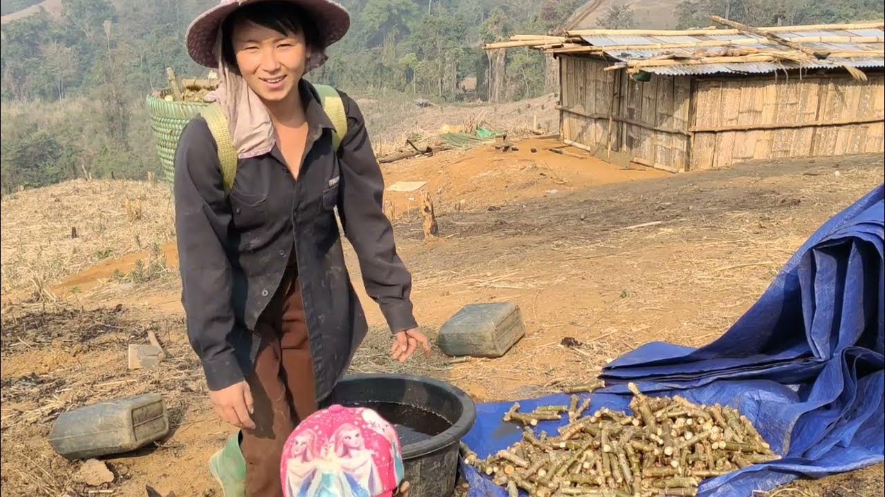 Tuaj txog teb lawm hnub no mu cog qos tshav kub kawg - YouTube