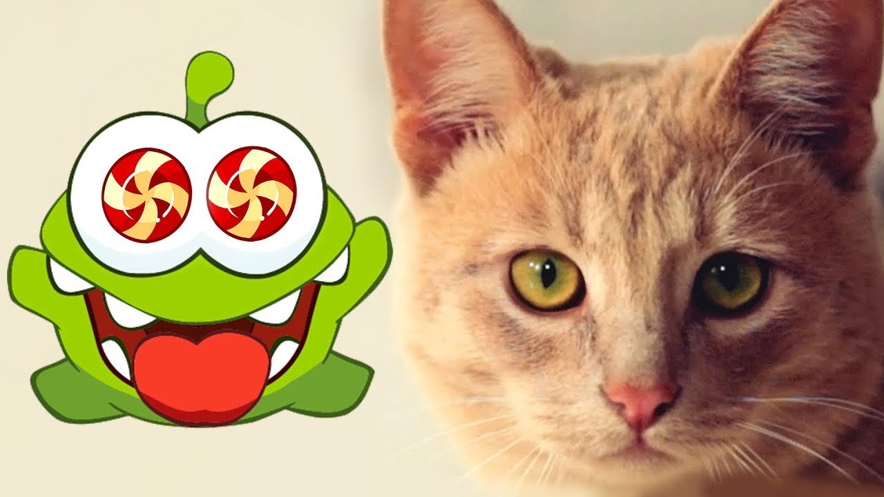 Om Nom y Cat 😸| Compilación de la temporada 1 de Om Nom | Dibujos animados divertidos para niños ...