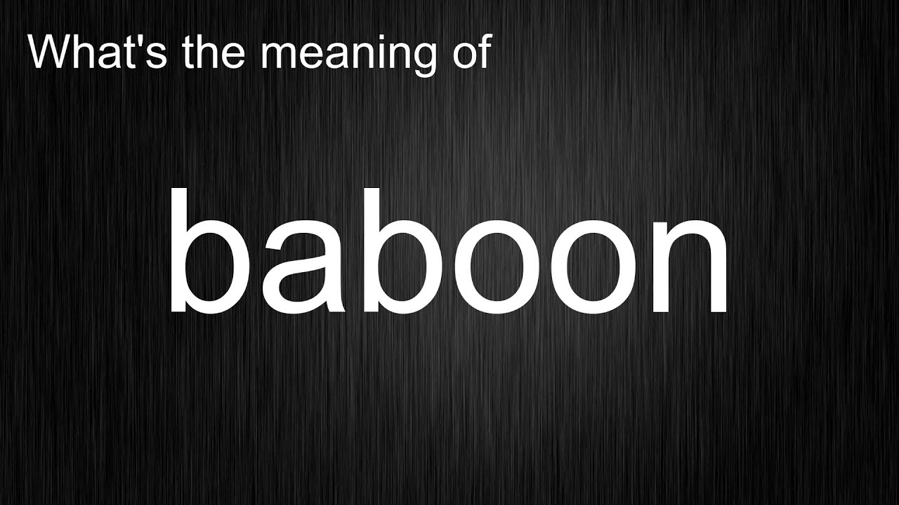 What's the meaning of "baboon", How to pronounce baboon? - YouTube