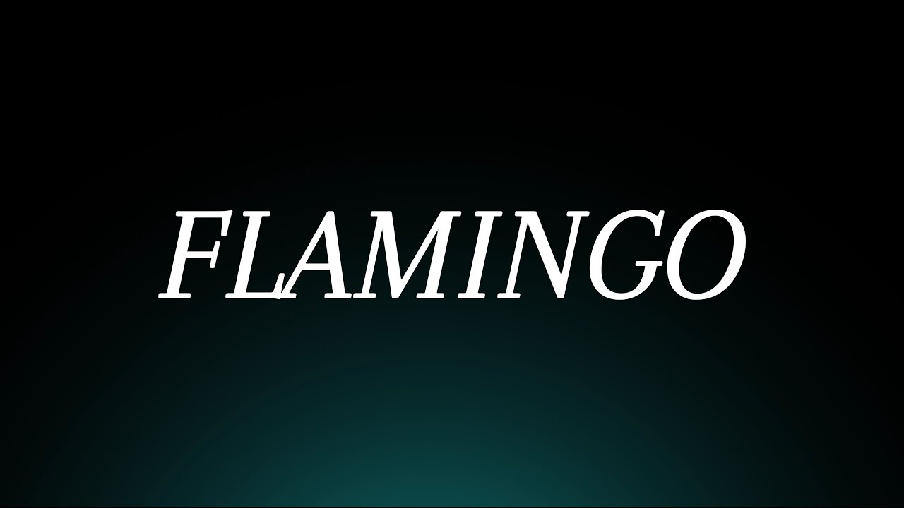 Learn How to Pronounce 'Flamingo'! Correctly (Bird Pronunciation) - YouTube