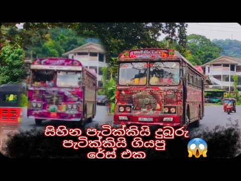 සිහින පැටික්කියි දුබුරු පැටික්කියි ලහිරු එකයි ගියපු රේස් එක 😱 #sl ...