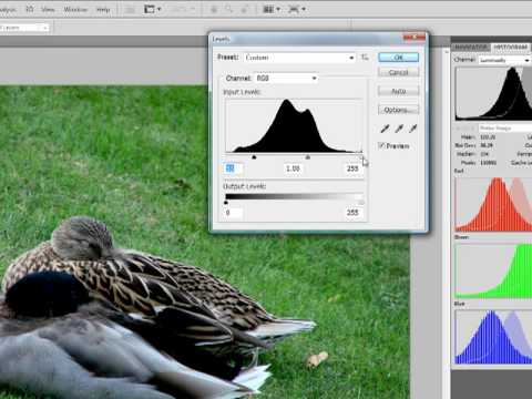 Photoshop - Levels And Histogram - YouTube