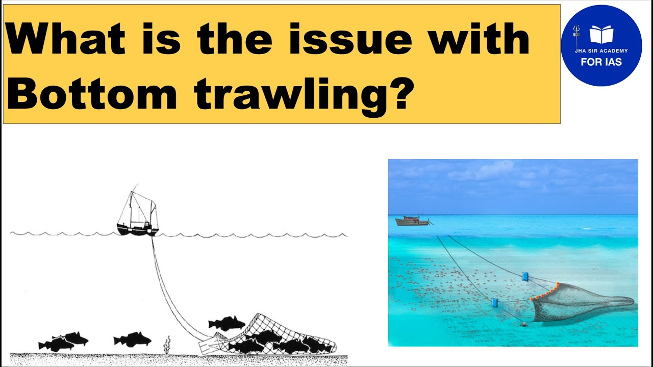 What is the issue with Bottom trawling? - YouTube
