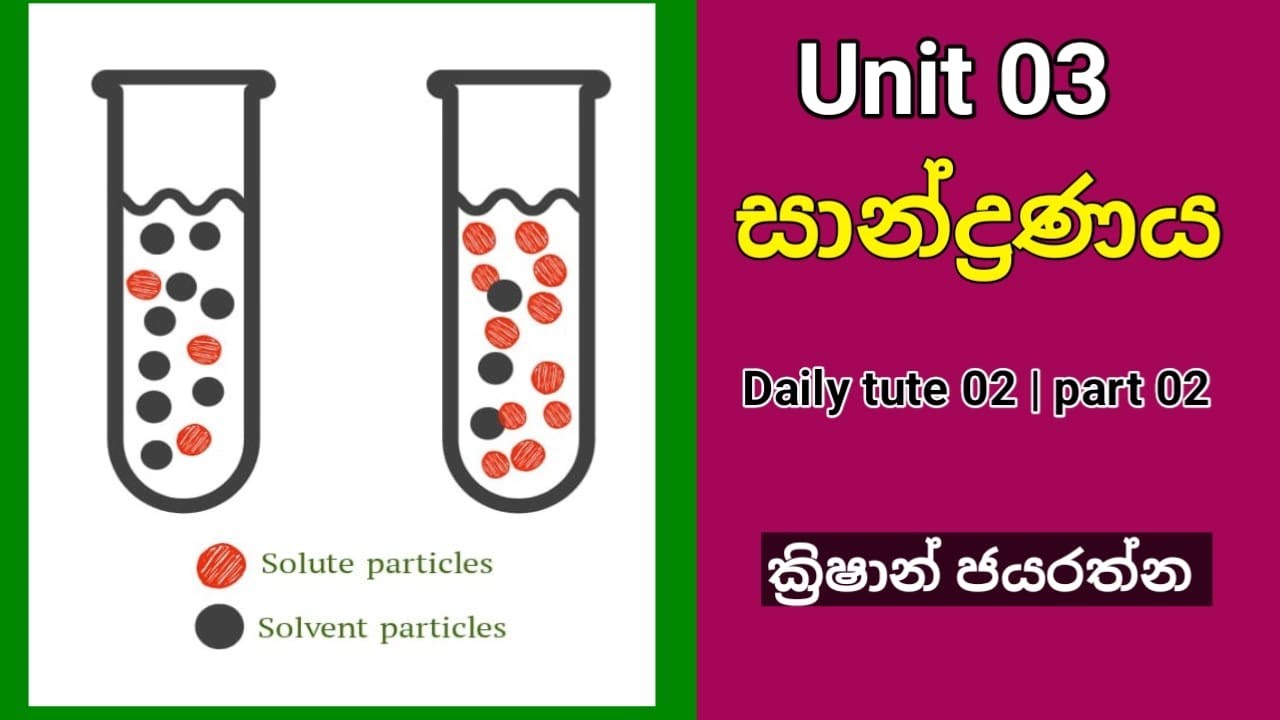 UNit 03 | concentration Daily tute 02 | part 02 | KRishan Jayarathna ...