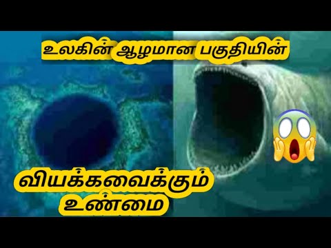 The Mariana Agali mystery solved interesting explained || in Tamil ...
