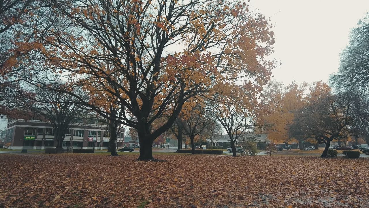 Downtown Longview, Washington Walk in the Rain 4k - YouTube