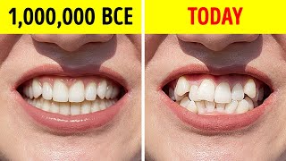 Could Humans Ever Regrow Teeth? | Safe Videos for Kids