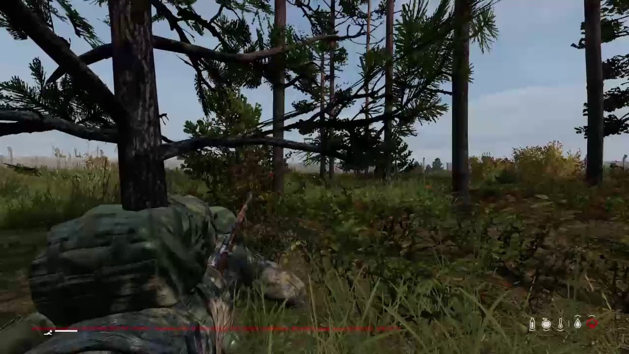 Dayz best player - YouTube