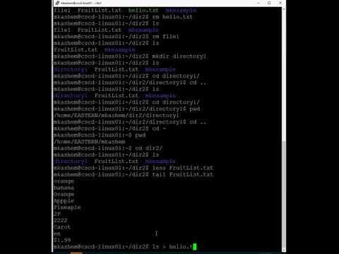 Unix Command Examples - YouTube