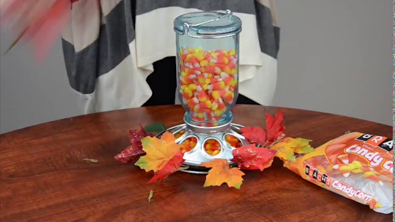 DIY Bird Feeder Candy Dispenser - YouTube