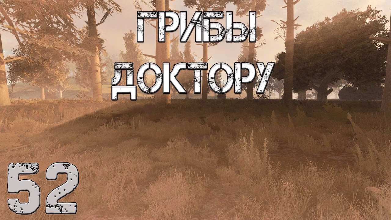 Грибы Доктору (52) S.T.A.L.K.E.R. Anomaly Epilogue - YouTube