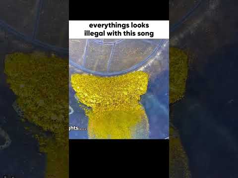 Everything looks illegal with this song #memes #illegal
