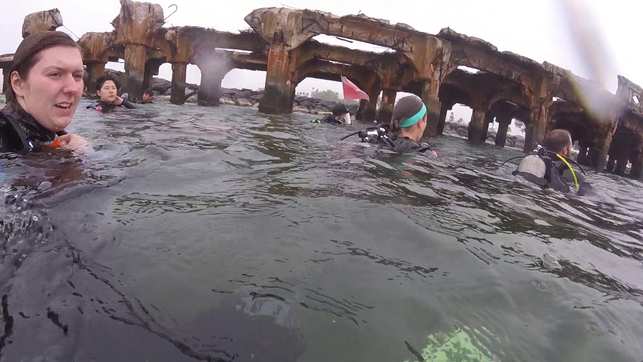 Scuba Diving - Maui - Mala Pier 1 - YouTube