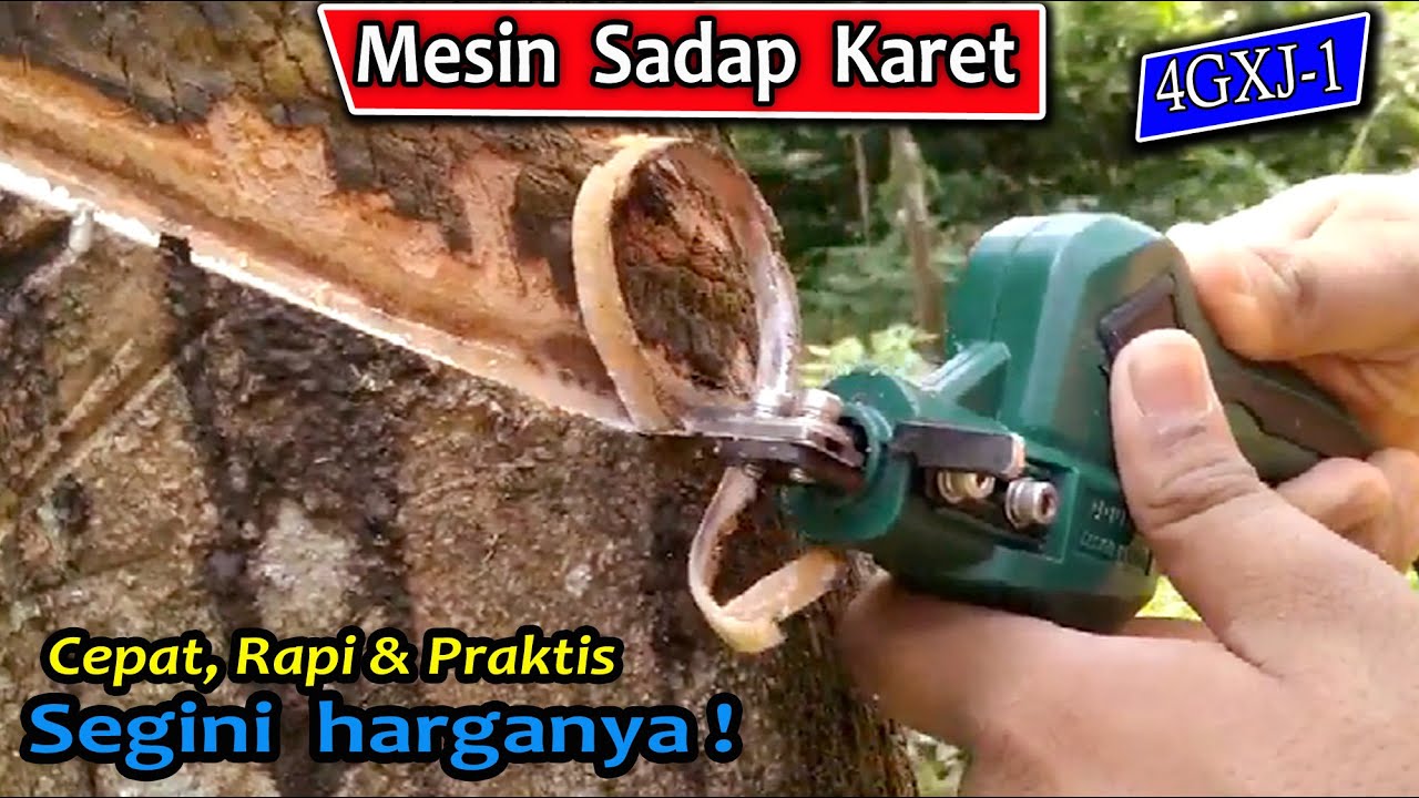 Mesin sadap karet - Alat canggih Deres karet - Mesin canggih - Pisau ...