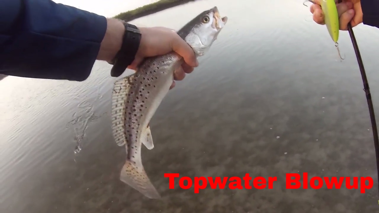 Topwater Trout in Port Aransas - YouTube