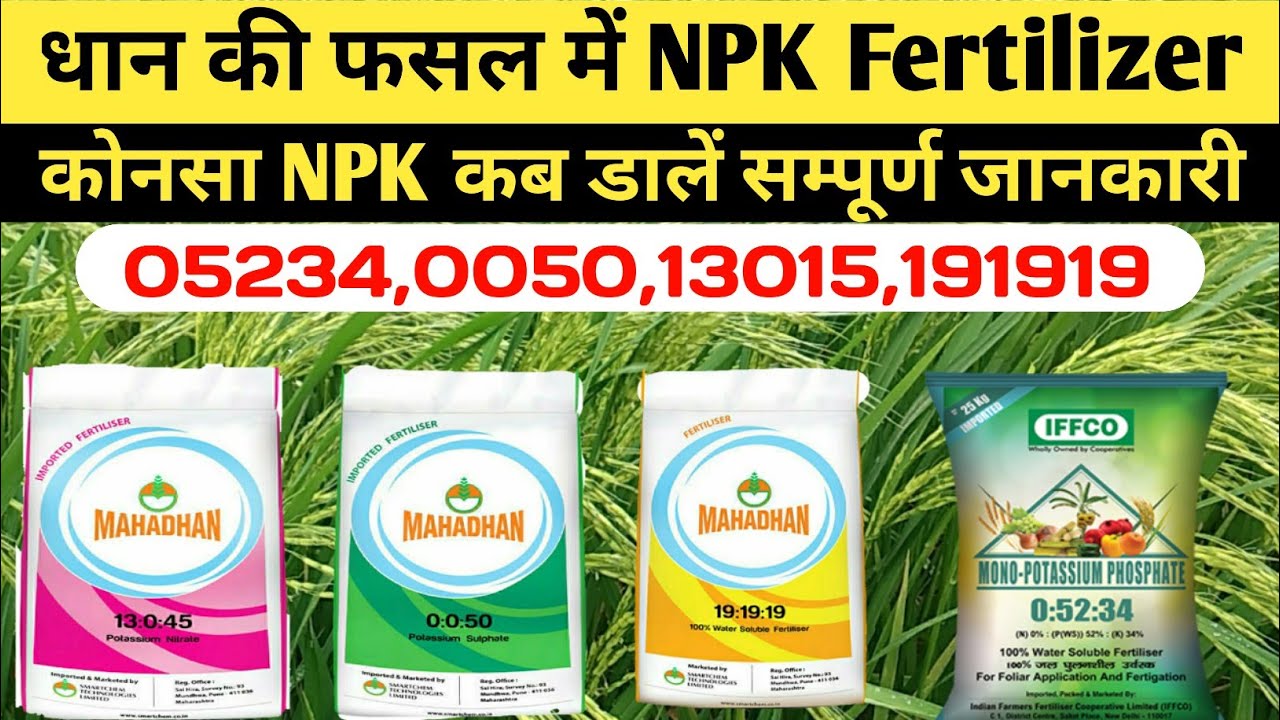 dhan ki fasal me npk 05234,13045,191919,0050 kab Dale - YouTube