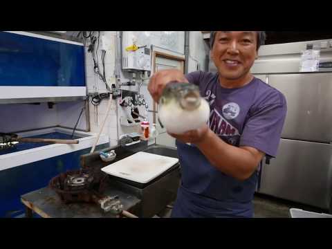 Cin sokak yemekleri balon baligi