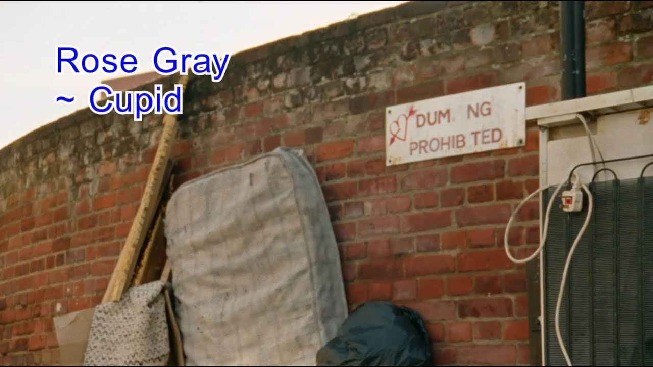 Rose Gray - Cupid (Lyric / Karaoke Video) - YouTube