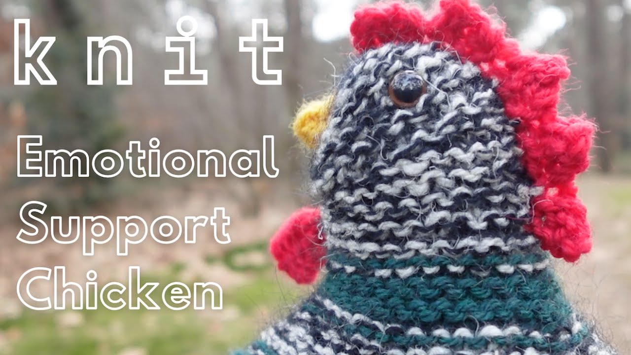 Finally Knitting an Emotional Support Chicken for myself | Project Vlog ...