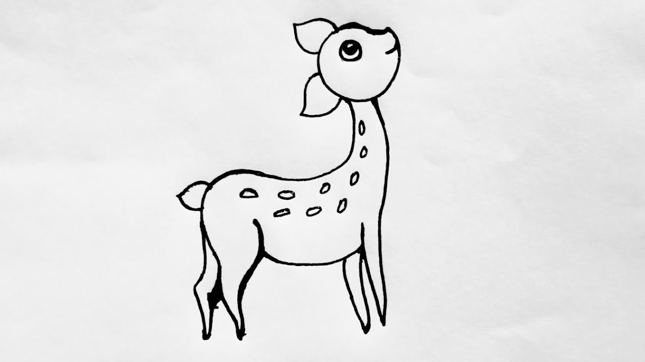 How To Draw Deer Very Easy drawing|| State animal of Telangana - YouTube