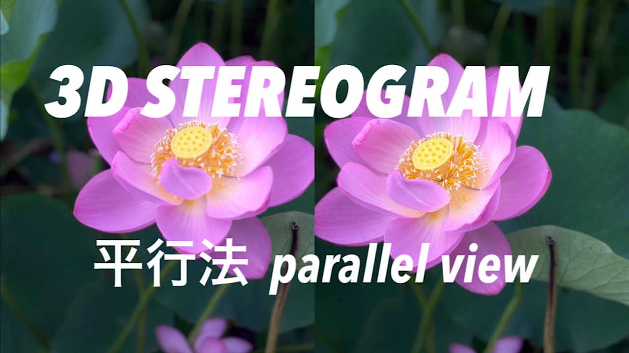 STEREOGRAM (Parallel View 3D) | 平行法☆ステレオグラム | P18 STEREOSCOPIC - YouTube