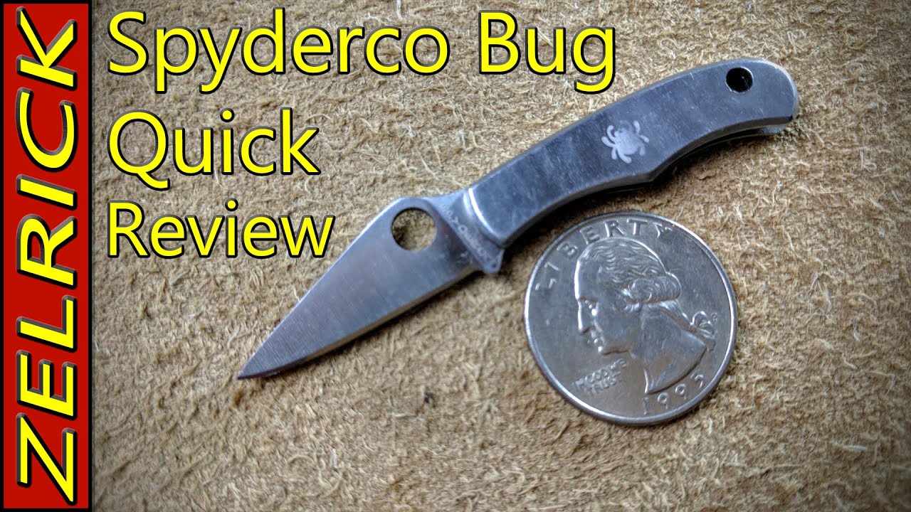 Spyderco Bug Quick Review - YouTube