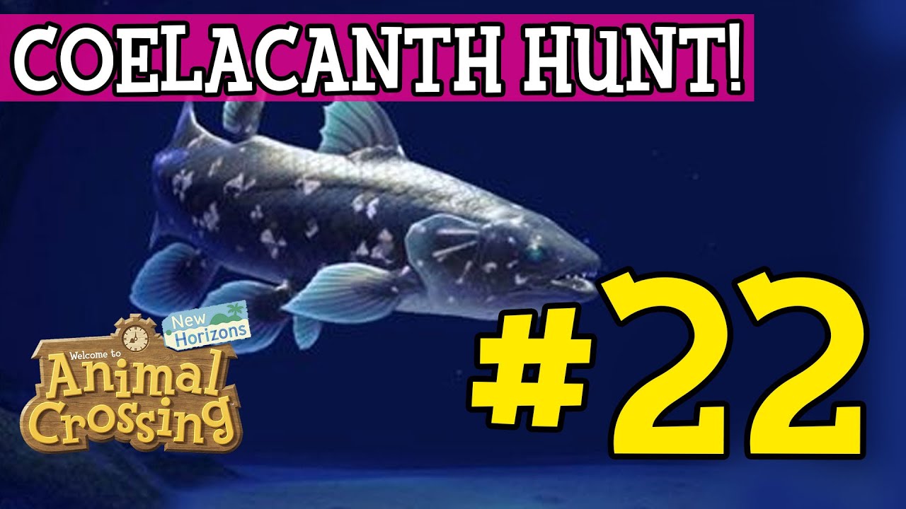 COELACANTH HUNT! - Animal Crossing: New Horizons #22 - YouTube