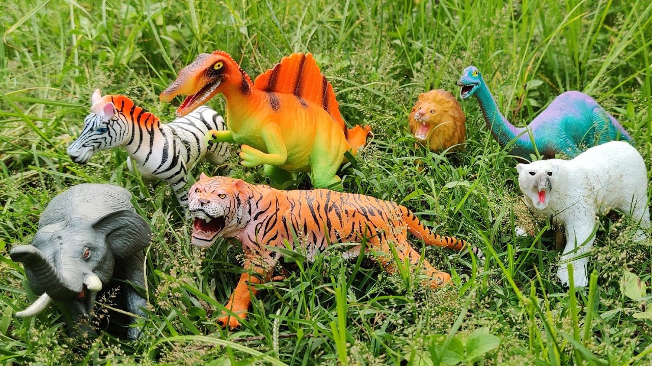 Learn Zoo Wild Animals Names | Educational Toys Video For Children ...