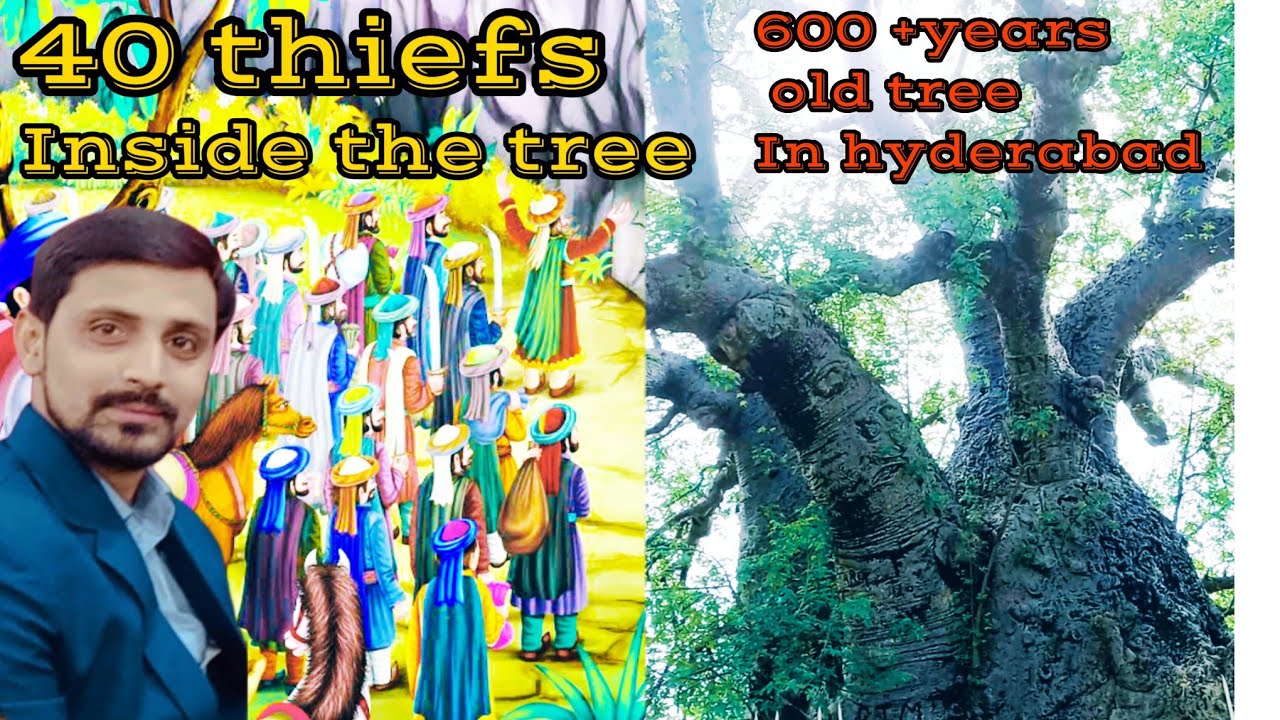 600+ years historical tree in Naya qila hyderabad oh my God huge tree ...