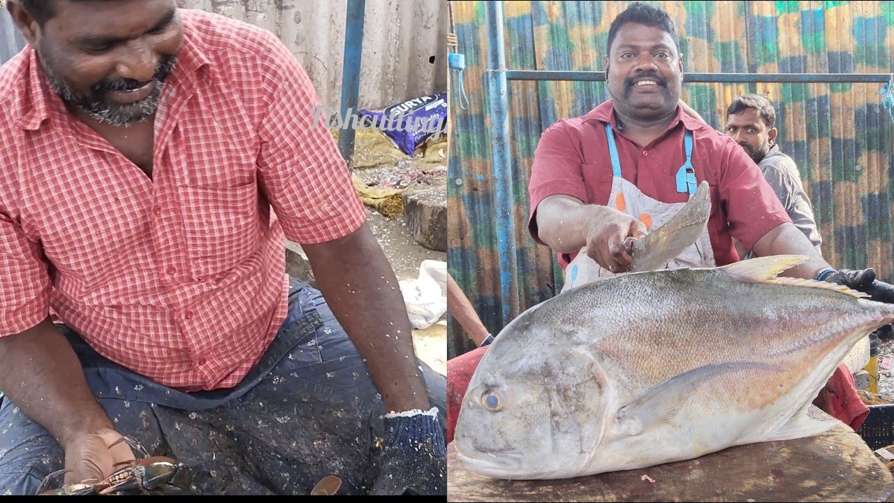 Puli and Raja combo paarai Meen fish cutting video/fishcuttingrs #fish ...