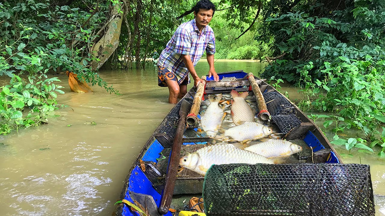 Amazing fishermen catching fish during the rainy season There are great ...