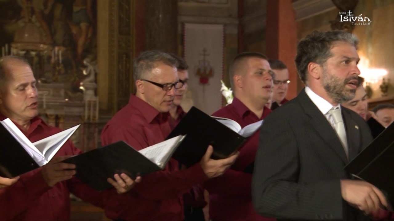 Dávid MAGDA: Cantemus quia cantare - YouTube