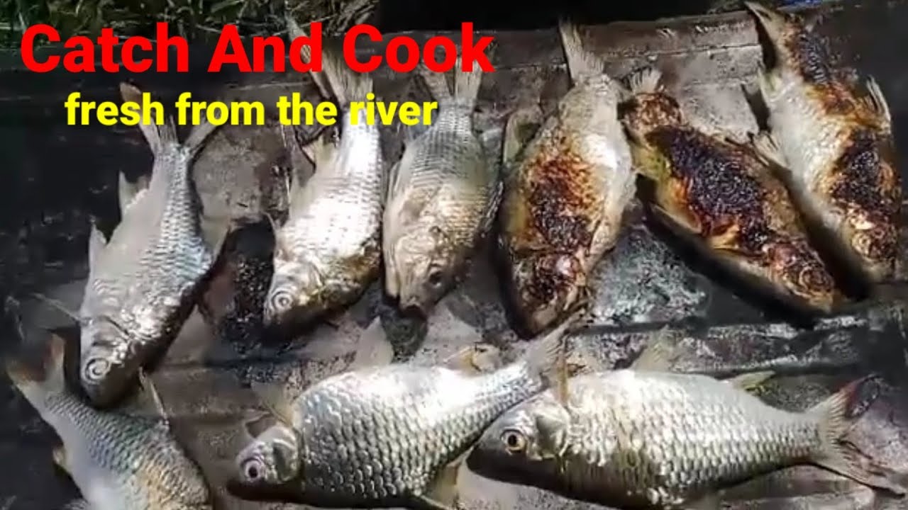 catch and cook - YouTube