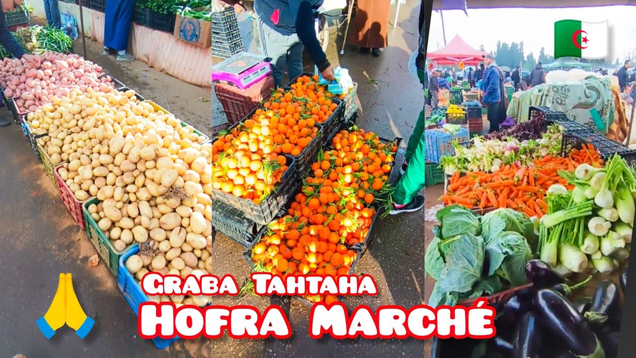 سيدي بلعباس اليوم سوق الحفرة اسعار الخضر والفواكه marché Hofra Graba ...