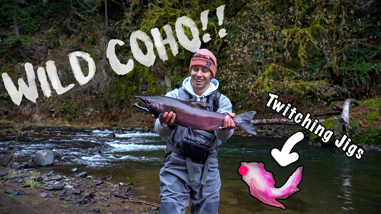 Catching Wild Coho On Twitching Jigs!! (Washington Salmon Fishing ...