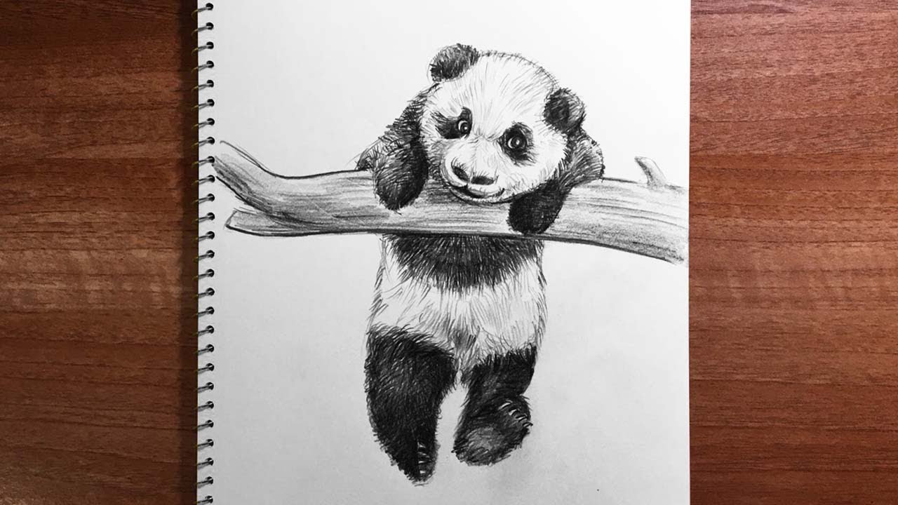 How to draw a Panda 🐼 Easy Panda Drawing | Panda Bear Sketch - YouTube