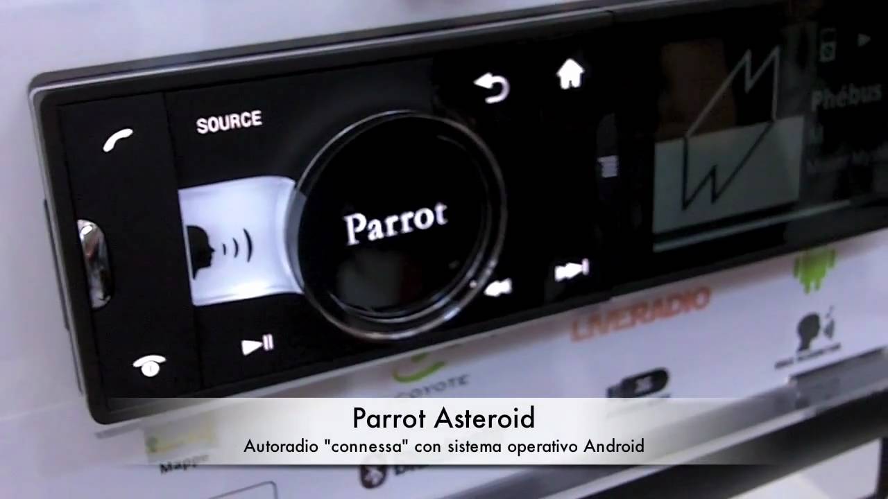 Parrot Asteroid