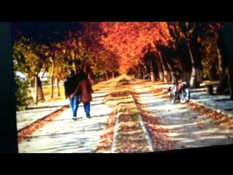 Aşk Şiiri ( Aşırı derecede duygusallık içerir. )