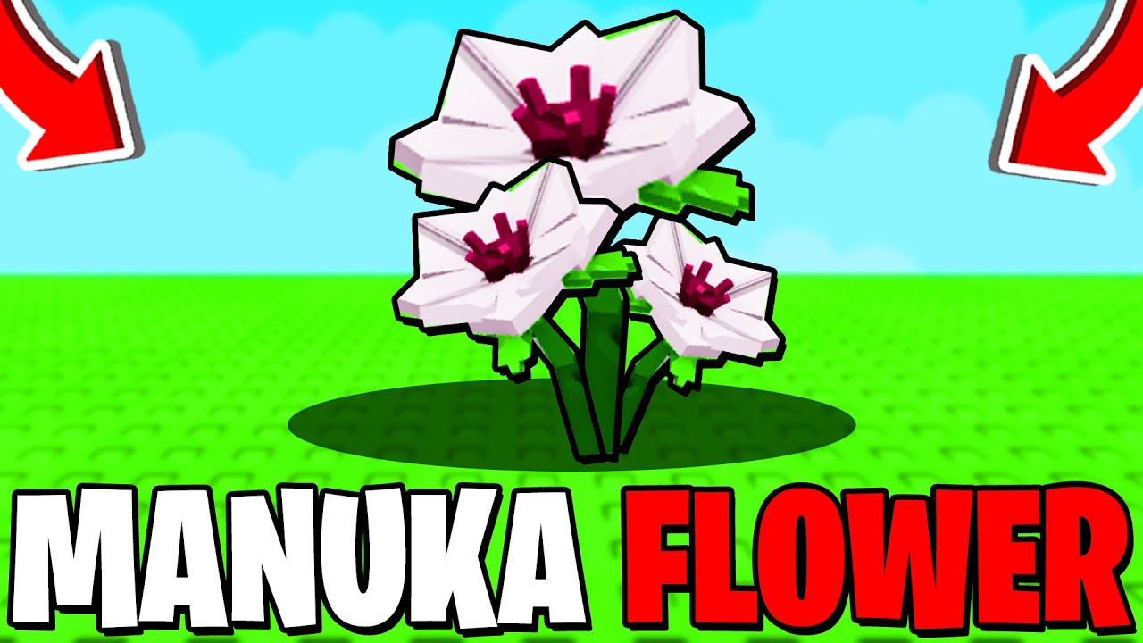 How To GET MANUKA FLOWER & SHOWCASE In Grow A Garden! Roblox - YouTube