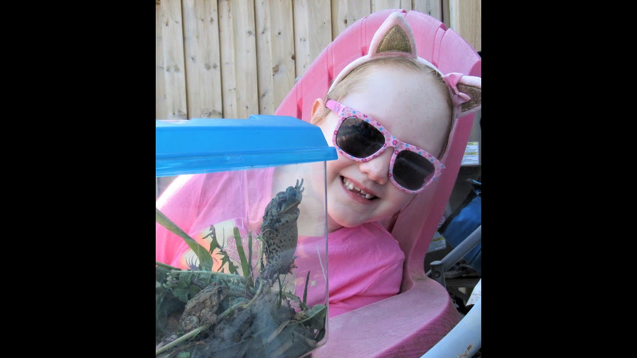 A Tale of Two Toads: Hoppy and Toady! - YouTube