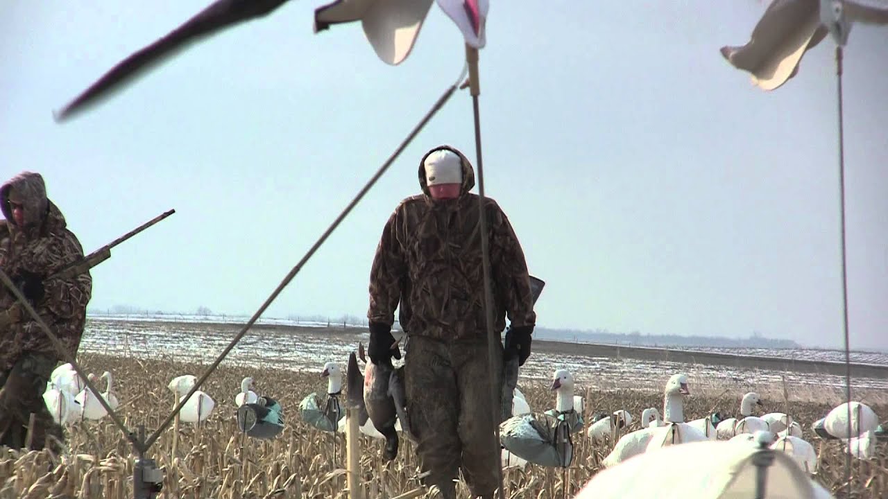 flocker machine - YouTube