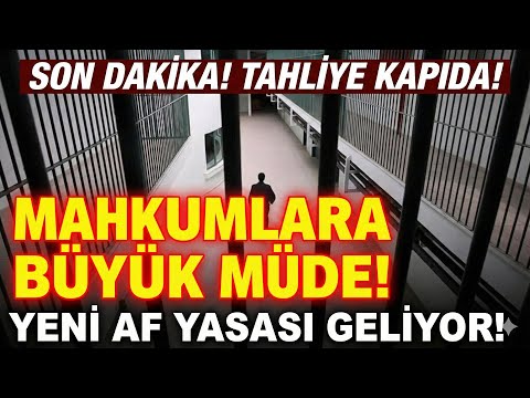 Af Yasasında Yeni Açıklama Geldi Mi? Son Dakika Bilgileri