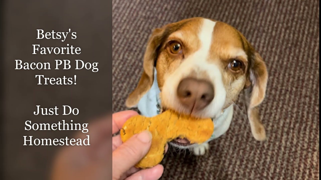 Betsy’s Favorite Bacon PB Dog Treats! - YouTube