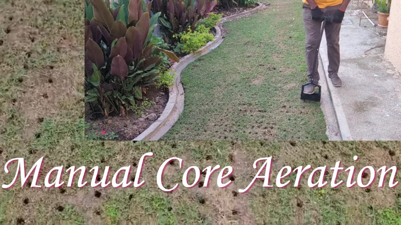 How to Core Aerate Your Lawn by Hand - YouTube