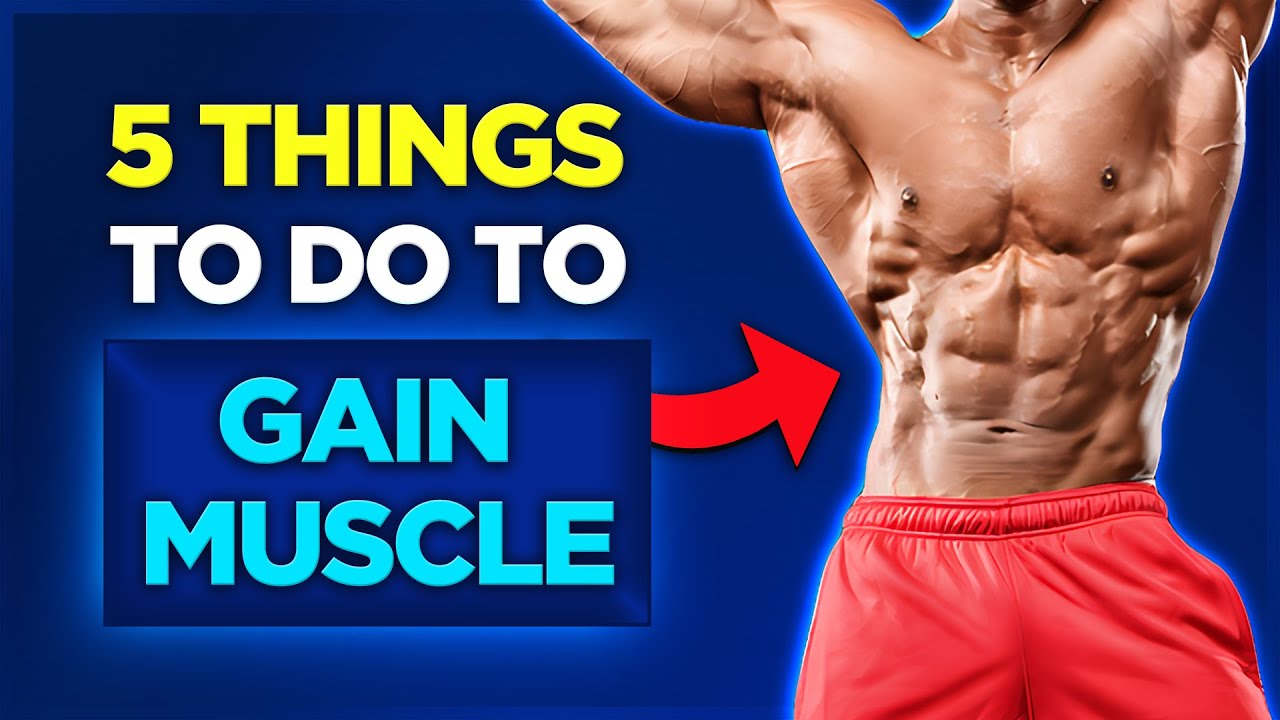 5 Tips to Gain Muscle QUICKLY - YouTube