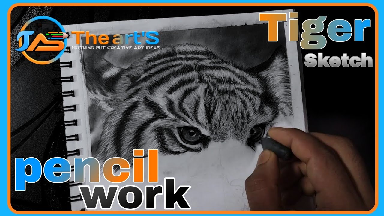 How to Draw or Shade Realistic Tiger Fur with Graphite Pencil for ...