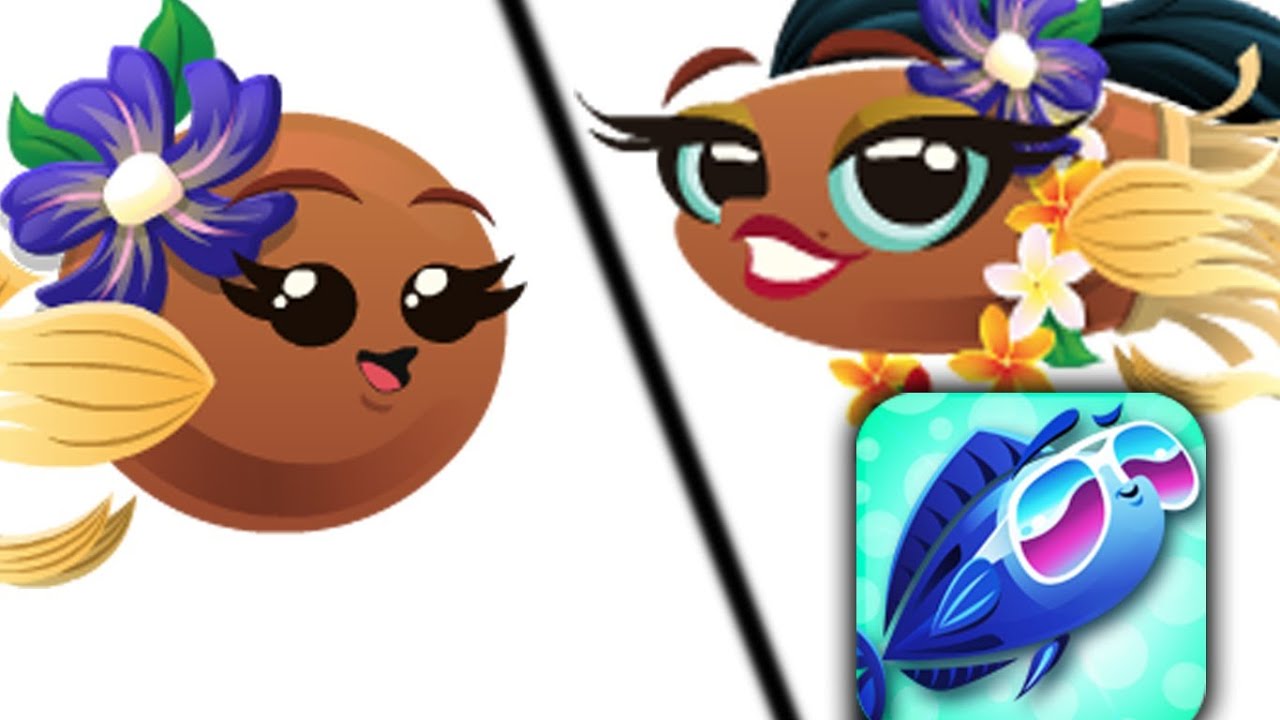 How to breed Hula Fish 100% Real! Fish with Attitude! wbangcaHD ...