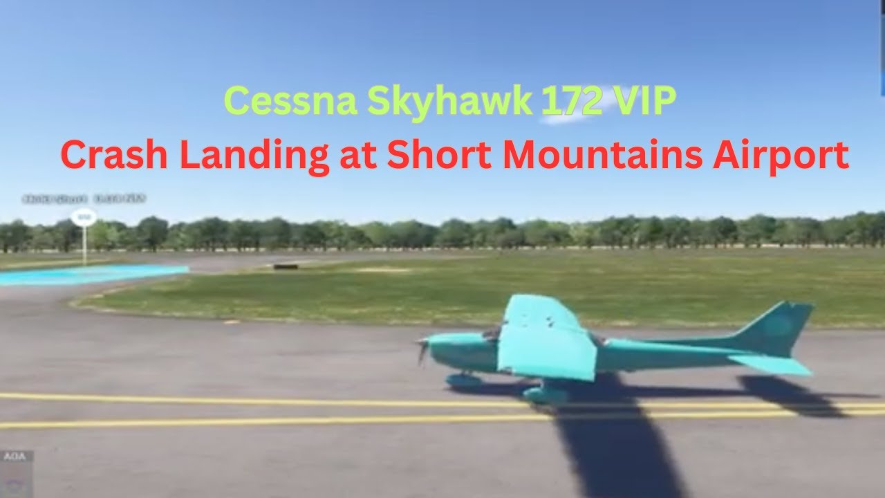 Cessna Skyhawk 172 VIP Charter Mission - Crash Landing at Short ...