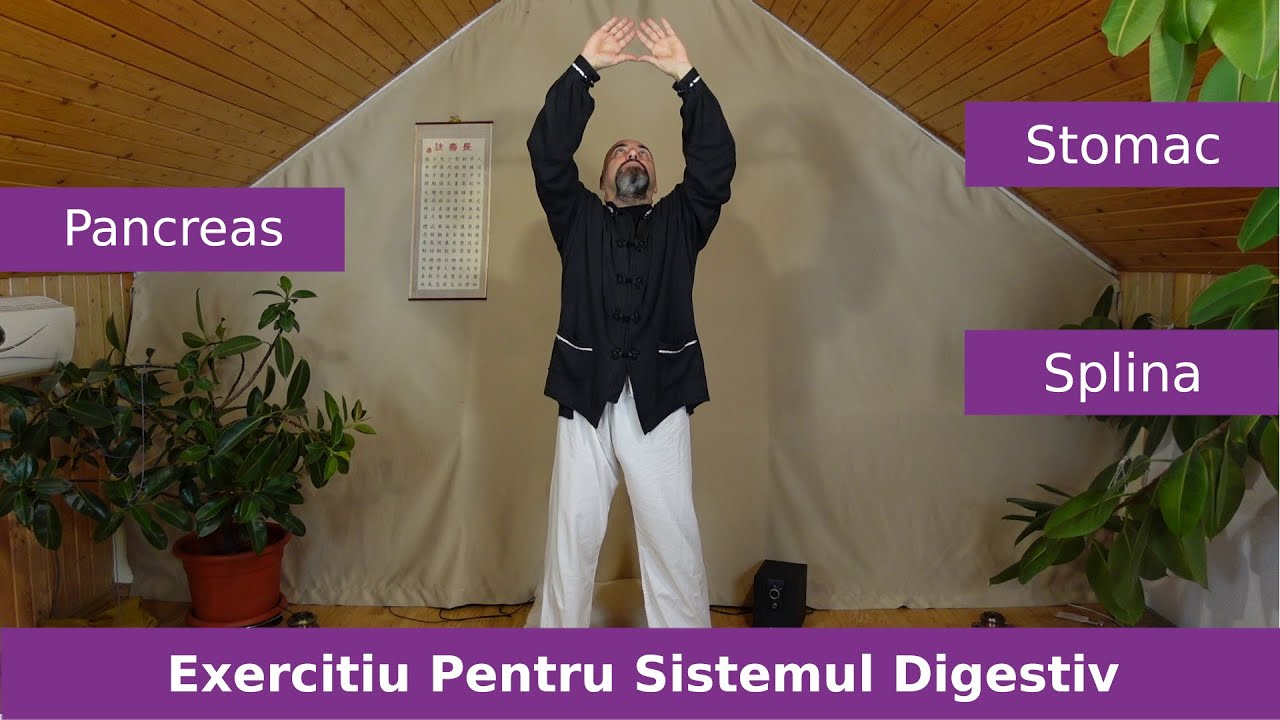 Reglare Sistem Digestiv: Splina - Stomac - Pancreas - Intestine - YouTube